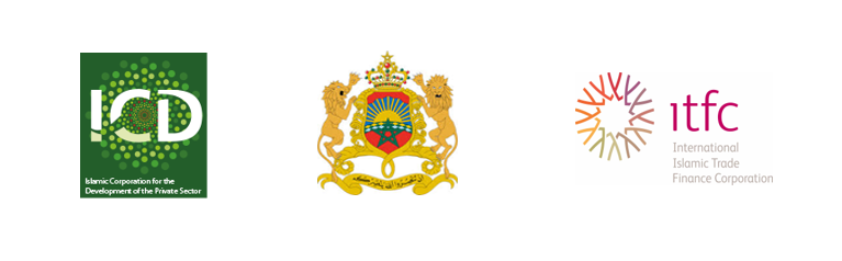 Islamic Corporation for the Development of the Private Sector (ICD ...